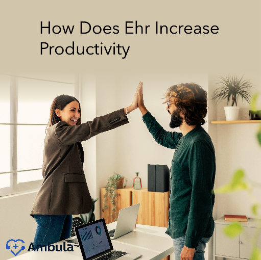 How does Ehr increase productivity - Ambula Healthcare
