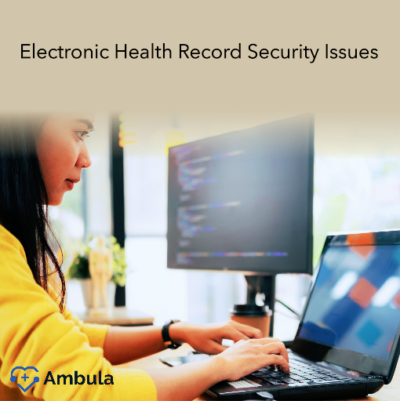 Electronic Health Record Security Issues - Ambula Healthcare